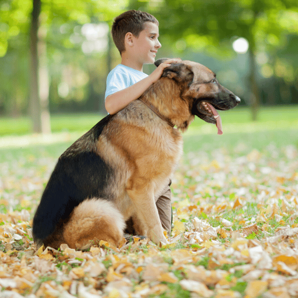 14 of the Most Lovable Dog Breeds