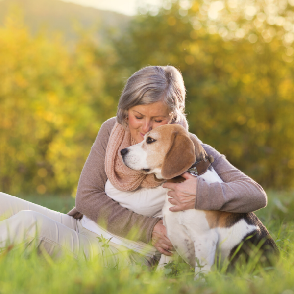 14 of the Most Lovable Dog Breeds